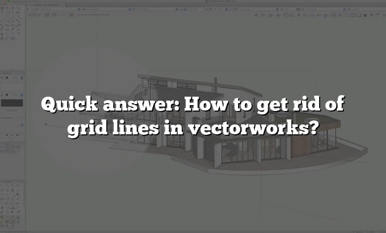 Quick answer: How to get rid of grid lines in vectorworks? - CADdikt