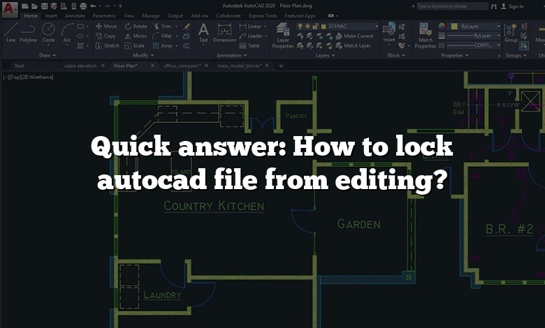 Quick answer: How to lock autocad file from editing? - CADdikt