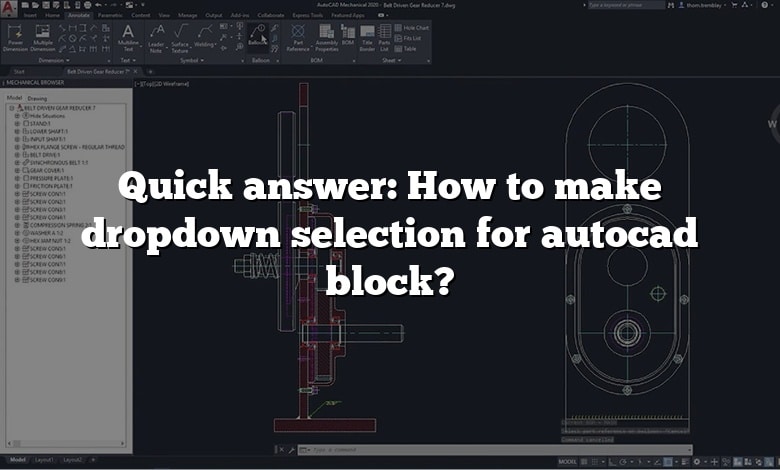 Quick answer: How to make dropdown selection for autocad block? - CADdikt