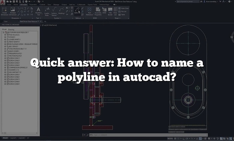 Quick answer: How to name a polyline in autocad? - CADdikt