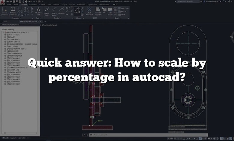 Quick answer: How to scale by percentage in autocad? - CADdikt