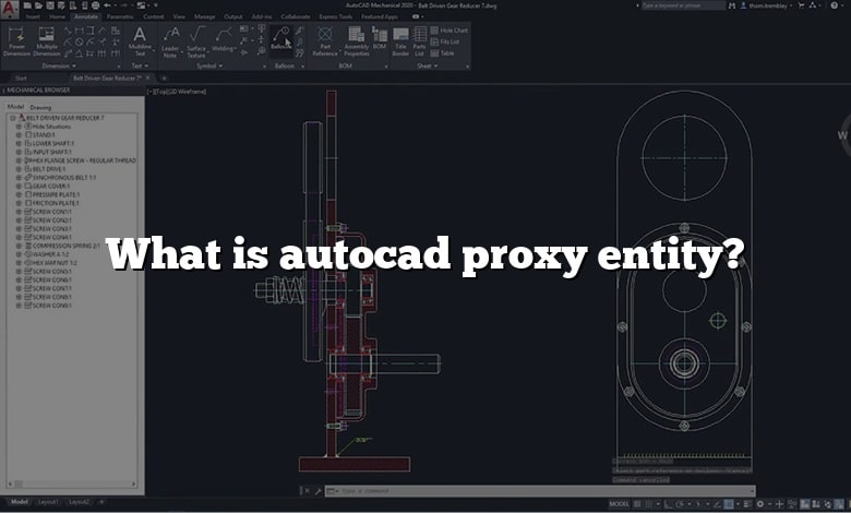 What is autocad proxy entity? - CADdikt