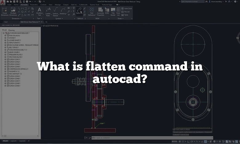 What is flatten command in autocad? - CADdikt
