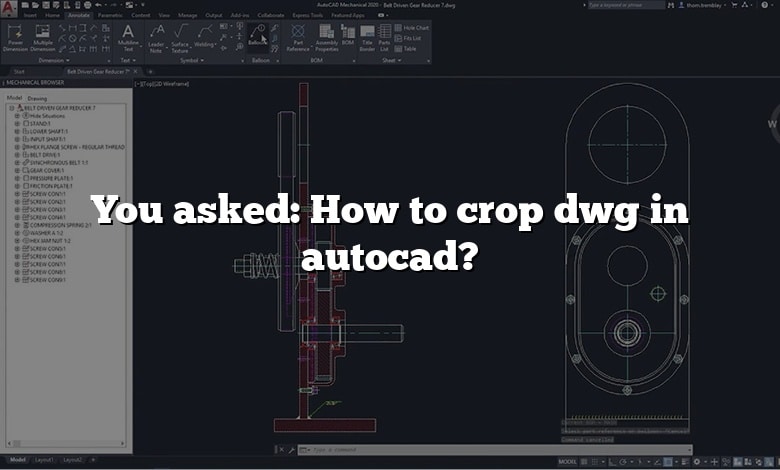 You asked: How to crop dwg in autocad? - CADdikt