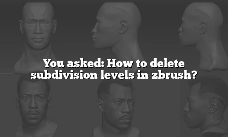 You asked: How to delete subdivision levels in zbrush? - CADdikt