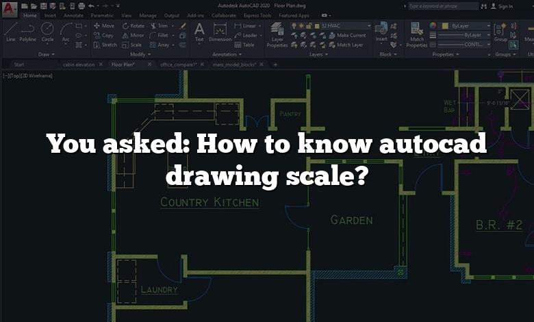 You asked: How to know autocad drawing scale? - CADdikt
