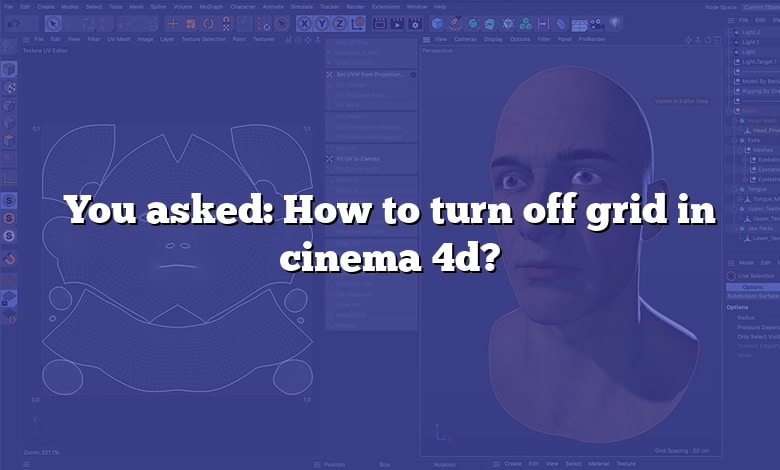 You asked: How to turn off grid in cinema 4d? - CADdikt