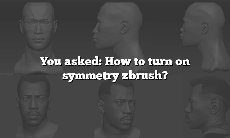 You asked: How to turn on symmetry zbrush? - CADdikt