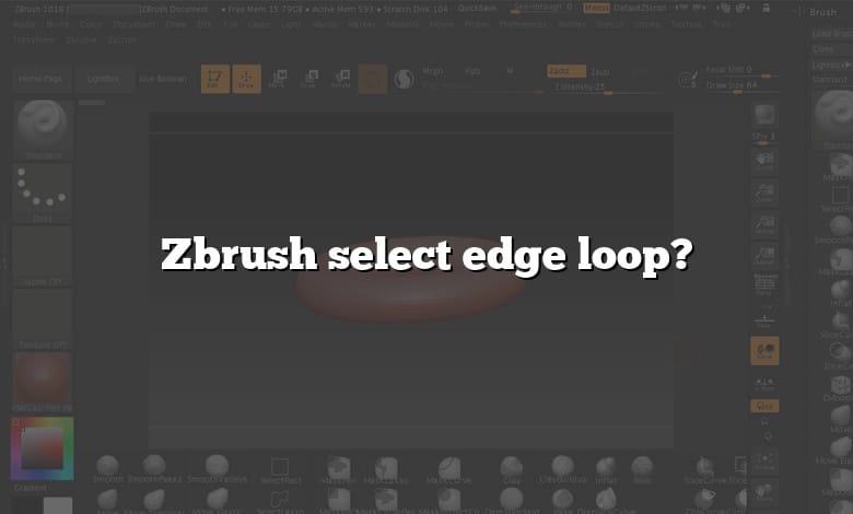 Zbrush select edge loop? - CADdikt