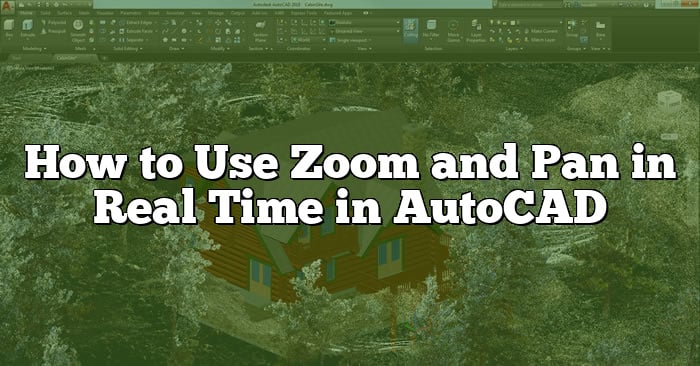 How to Use Zoom and Pan in Real Time in AutoCAD - CADdikt