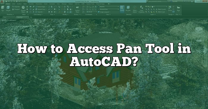 How to Access Pan Tool in AutoCAD? (Step by step) - CADdikt