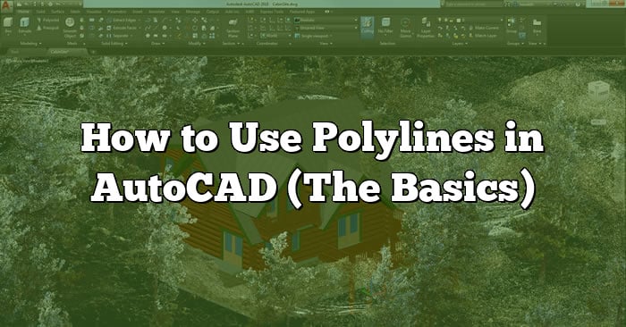 How to Use Polylines in AutoCAD (The Basics) - CADdikt